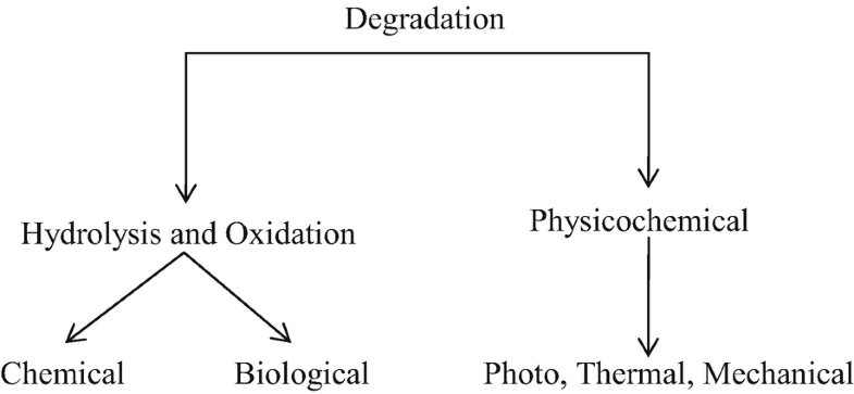 Degradation of Various Plastics in the Environment | SpringerLink