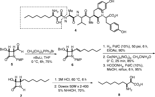 β-Lactam Ring Opening: A Useful Entry to Amino Acids and Relevant ...