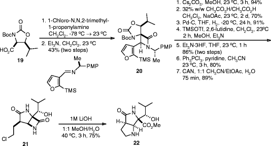 β-Lactam Ring Opening: A Useful Entry to Amino Acids and Relevant ...
