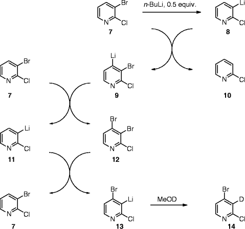 Recent Progress on the Halogen Dance Reaction on Heterocycles ...