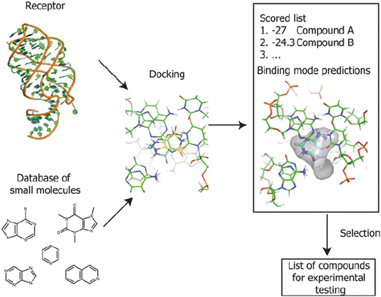 Structure-Based Discovery of Small Molecules Binding to RNA | SpringerLink