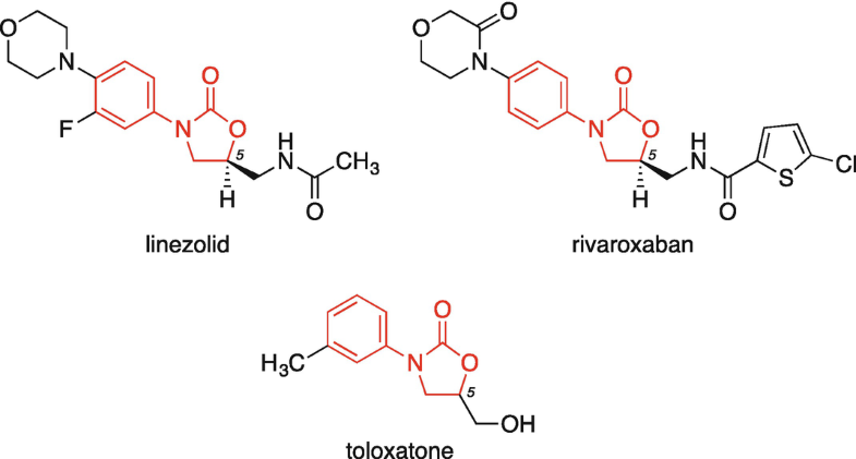 The Oxazolidinones | SpringerLink
