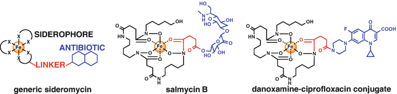 Sideromycins as Pathogen-Targeted Antibiotics | SpringerLink