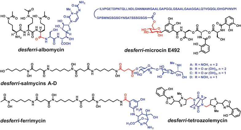 Sideromycins as Pathogen-Targeted Antibiotics | SpringerLink