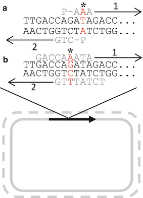 Allelic Exchange | SpringerLink
