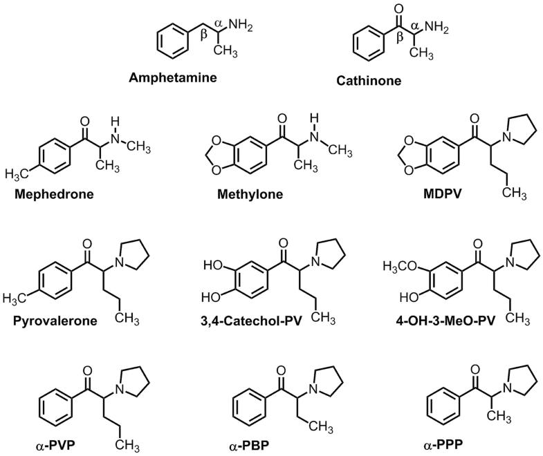 Neuropharmacology of 3,4-Methylenedioxypyrovalerone (MDPV), Its ...