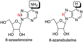 ADAR Proteins: Structure and Catalytic Mechanism | SpringerLink