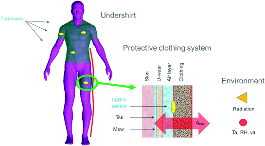 Modelling Human Heat Transfer and Temperature Regulation | SpringerLink