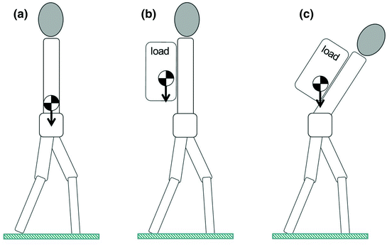 Biomechanics of Load Carriage | SpringerLink