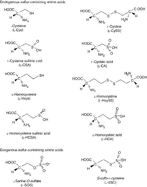 7 Sulfur-Containing Amino Acids | SpringerLink