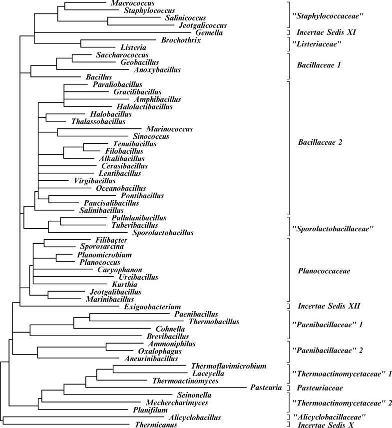Revised road map to the phylum Firmicutes | SpringerLink