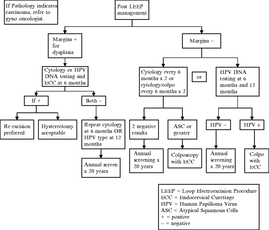 LEEP: Loop Electrosurgical Excision Procedure | SpringerLink