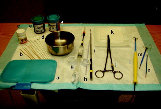 LEEP: Loop Electrosurgical Excision Procedure | SpringerLink