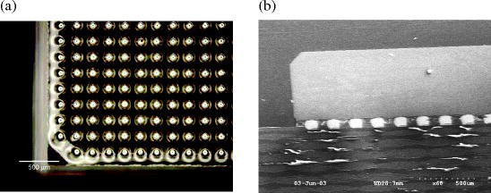Flip-Chip Underfill: Materials, Process and Reliability | SpringerLink