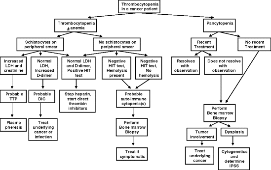 Thrombocytopenia and Cancer | SpringerLink