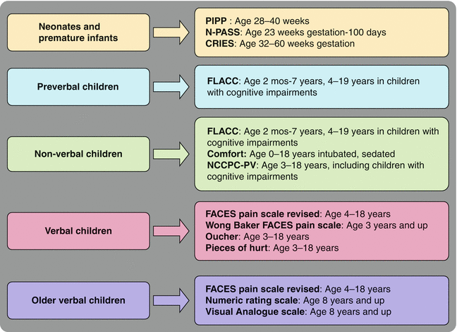 Pain Assessment in Children Undergoing Regional Anesthesia | SpringerLink