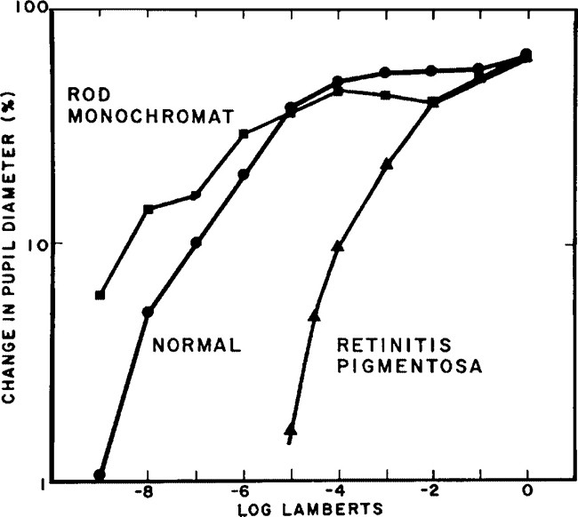 Stevens’ Power Law | SpringerLink