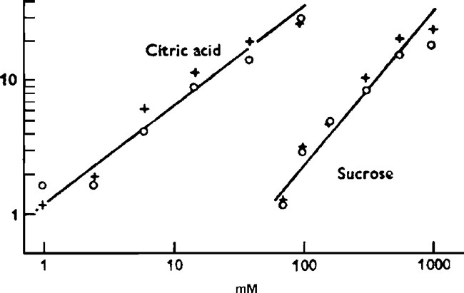 Stevens’ Power Law | SpringerLink