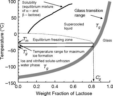 Solid and Liquid States of Lactose | SpringerLink