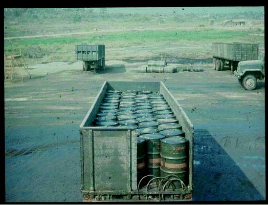 The Military Use of Tactical Herbicides in Vietnam | SpringerLink