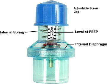 Special Airway Devices for Thoracic Anesthesia: CPAP, PEEP, and Airway ...