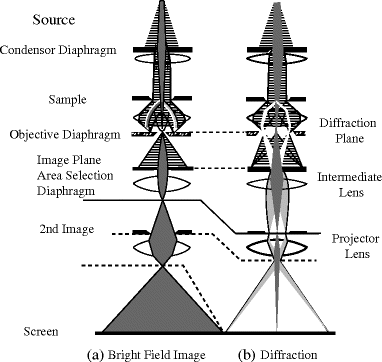 The Different Observation Modes in Electron Microscopy (SEM, TEM, STEM ...