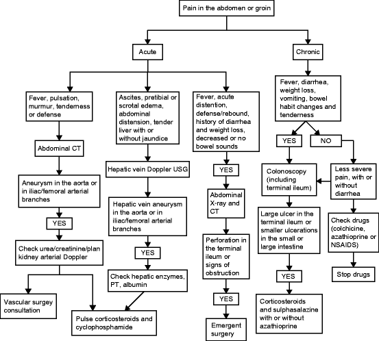 Behçet’s Syndrome: Clinical Presentations Affecting Prognosis and ...
