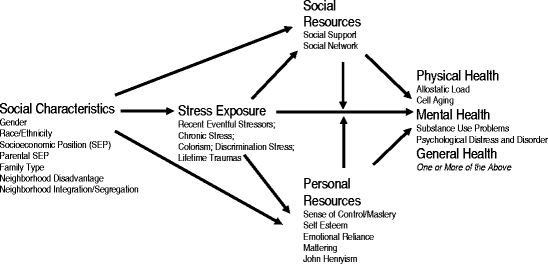 Understanding Health Disparities: The Promise of the Stress Process ...