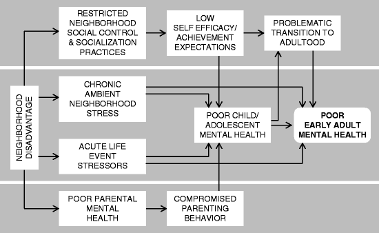 Neighborhood as a Social Context of the Stress Process | SpringerLink