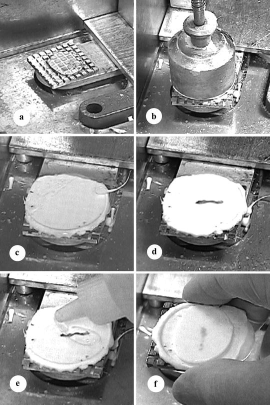 Embedding of Tissue for Frozen Section | SpringerLink