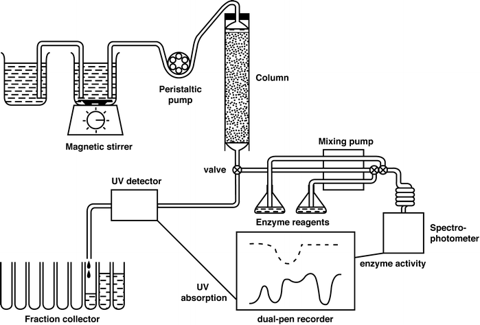 Basic Principles of Chromatography | SpringerLink
