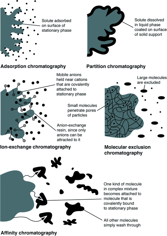 Basic Principles of Chromatography | SpringerLink
