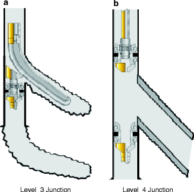 Multilateral Wells: Maximizing Well Productivity | SpringerLink
