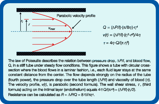Law of Poiseuille | SpringerLink