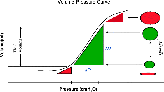 Respiratory Failure and Mechanical Ventilation | SpringerLink