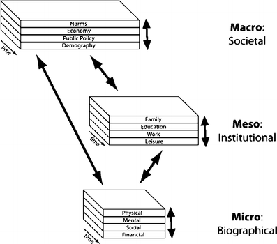 Aging Individuals, Families, and Societies: Micro–Meso–Macro Linkages in the Life Course ...