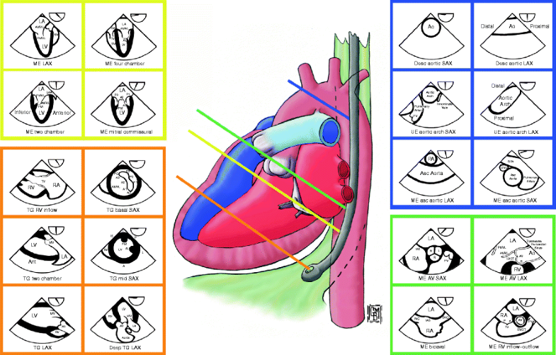 Normal Tee Views | SpringerLink