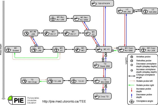 Normal Tee Views | SpringerLink