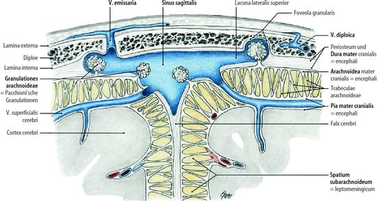 Computational Fluid Dynamics for the Assessment of Cerebrospinal Fluid ...