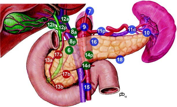 Specimen Dissection and Sampling | SpringerLink
