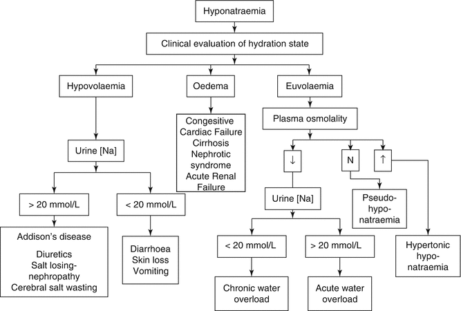 A Case of Severe Hyponatraemia | SpringerLink