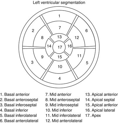 Echocardiographic Evaluation of Coronary Artery Disease | SpringerLink