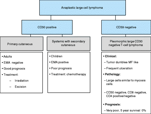 Pyoderma Gangrenosum-Like Lesions | SpringerLink
