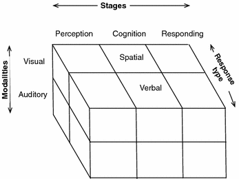 Cognition: Memory, Attention, and Learning | SpringerLink