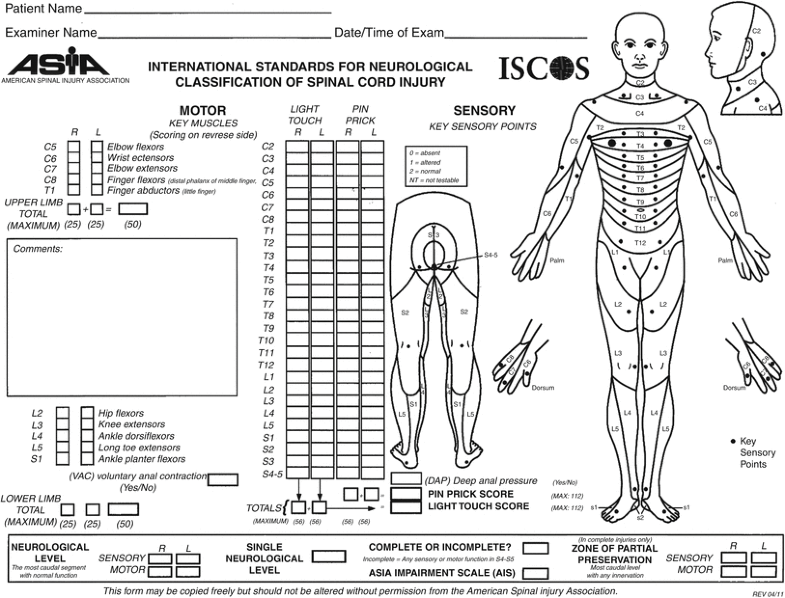 Spinal Cord Injury Rehabilitation and the ICU | SpringerLink