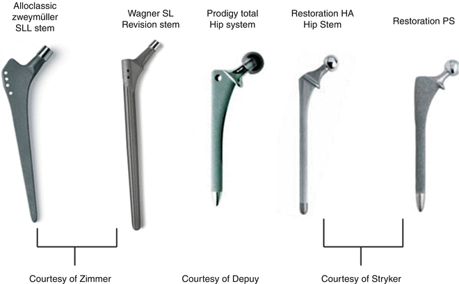 Cementless Fully Porous-Coated Implant-Bone Interface in Revision Total ...