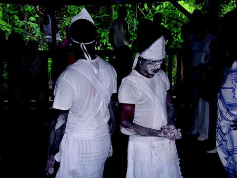 What Makes a Plant Magical? Symbolism and Sacred Herbs in Afro ...