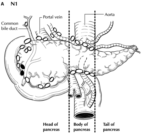 Ampulla of Vater | SpringerLink
