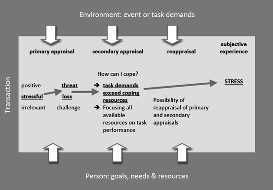 Psychophysiological Correlates of Flow-Experience | SpringerLink
