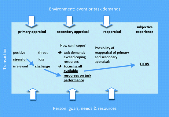 Psychophysiological Correlates of Flow-Experience | SpringerLink